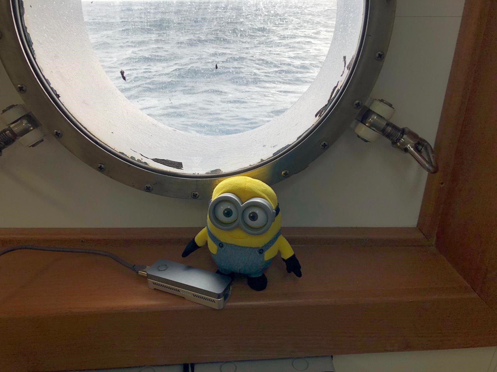 MinION sequencing on the RRS Discovery – Adventures in whale counting